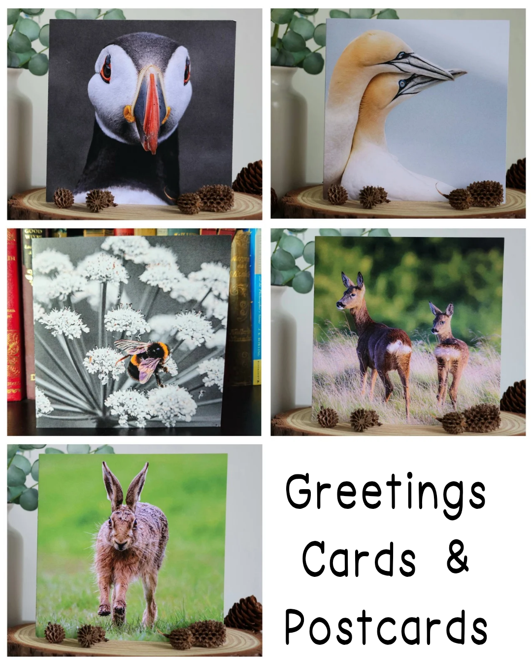 Shop – Julie Wilkinson